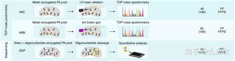 热点综述 Nature Methods：利用空间组学和多路成像技术探索癌症生物学 知乎