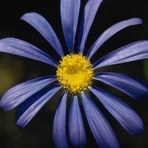 Piyachat Patcharanuchat Youtube