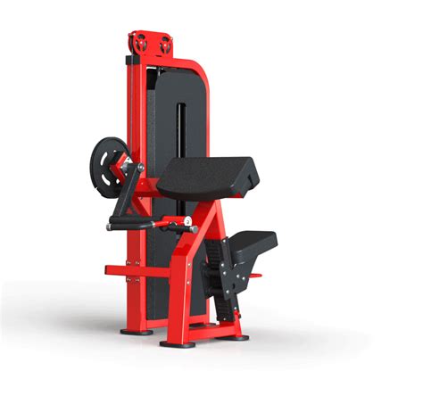 Bicep Curl Real Swiss Fitness Bicep Curl Real Swiss Fitness