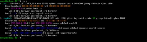 How To Manage Network Interfaces On Fedora 40 Devtutorial