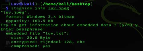 Comment Installer Steghide Tool Sous Linux StackLima