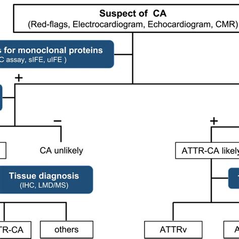 Diagnostic Algorithm For Patients With Suspected Cardiac Amyloidosis Diagnostic Algorithm For Patients With Suspected Cardiac Amyloidosis