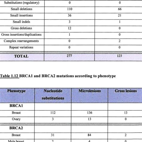 11 Brcal And Brca2 Mutations Identified Download Scientific Diagram