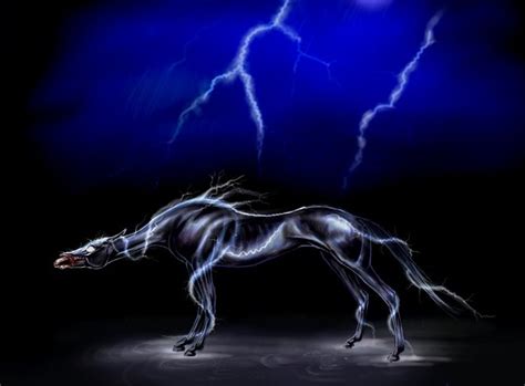 14 فوبیا عجیب و غریب که وجود دارند فوبیا؛ از عشق تا لمس شدن