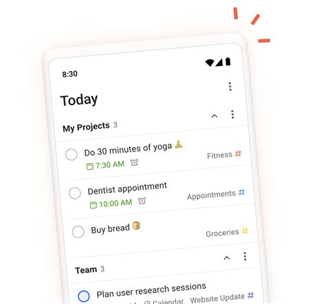 todoist a to do list to organize your work and life