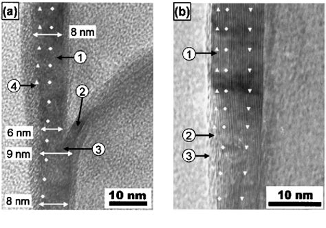Figure 3 From Growth Model Of Bamboo Shaped Carbon Nanotubes By Thermal