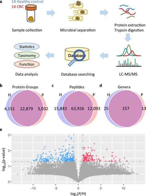 Metaproteomics Characterizes Human Gut Microbiome Function In Colorectal Cancer Npj Biofilms