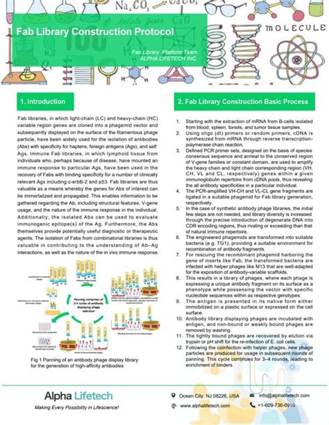 Fab Library Construction Protocolpdf