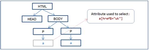 7 CSS Attribute Selectors Explained With Example And DOM Tree
