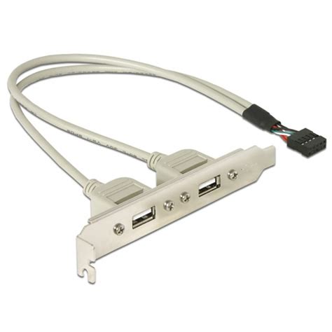 Delock Usb 2 0 Slotblende 10 Pin Header 2x Usb A Buchse Grau 30cm Kabel