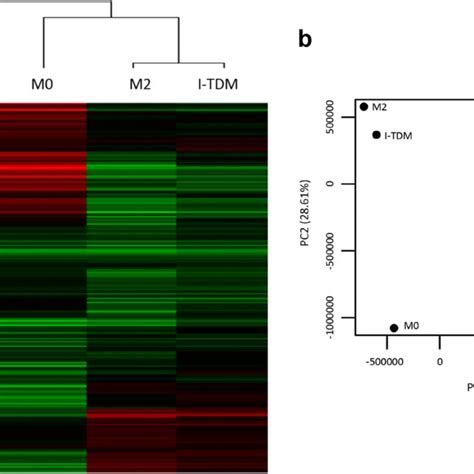 Heatmap Analysis Of Microarray Data Showing Hierarchical Clustering Of