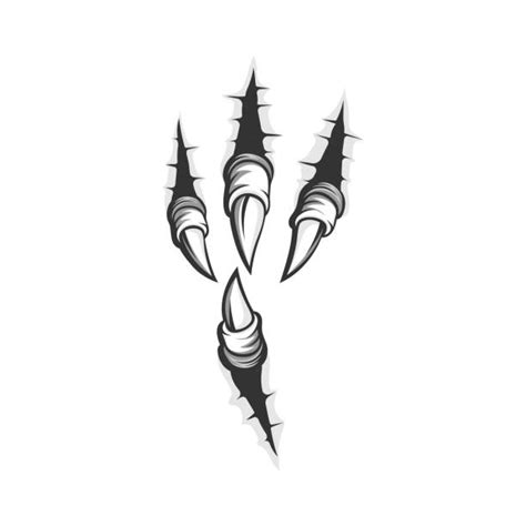 Bird Claw Vector