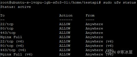 使用域上的真实SSL证书为 NET Core Web API创建Digital Ocean Droplet netcore webapi