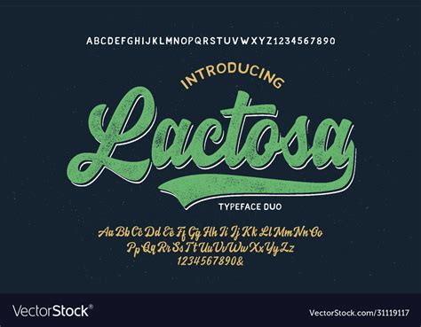Original Brush Script Font Retro Typeface Vector Image