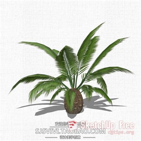 1060 Tree Sketchup Model Free Download Sketchup Model Sketchup Free Free Download