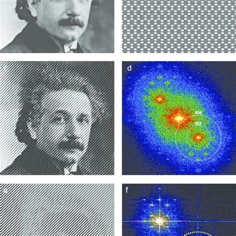 Basic Principle Of The Off Axis Electron Holography The Hologram In Download Scientific