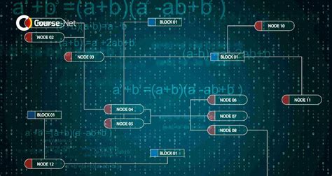 Memahami Algoritma Klasifikasi Dasar Dan Aplikasinya