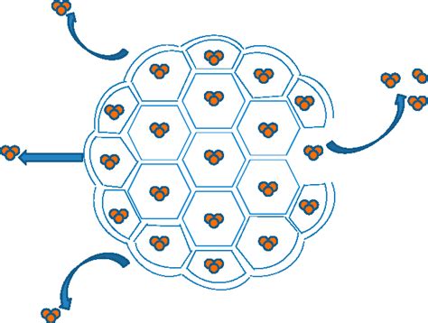 Doxil Semantic Scholar Doxil Semantic Scholar