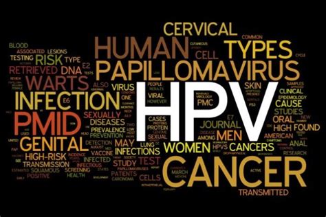 Hpv Infection Can Be Identified In Self Collected Vaginal Swabs