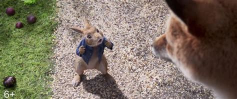 Кролик Питер 💥 картинки из мультфильма постеры