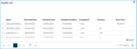 Dashboard Audit 13