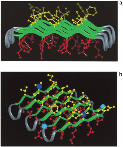 A Molecular Model Of Protein 17 At An Airwater Interface The Model Download Scientific