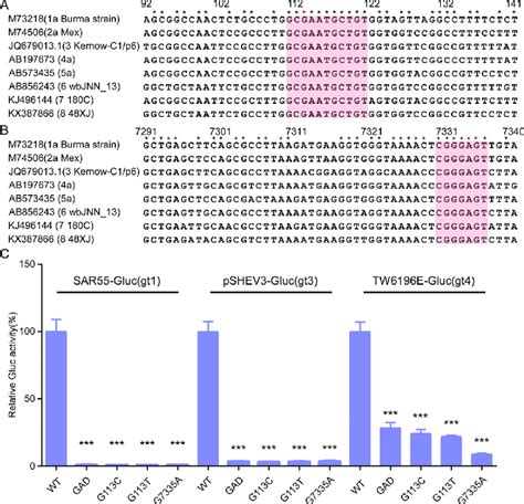 The Cis Acting Rna Elements Are Conserved And Functional In Multiple
