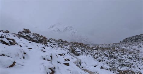 가벼운 가을 감기 거친 지형 겨울 겨울 동화나라 겨울 풍경 경치 고밀도 포그 구름 낀 하늘 나무 날씨 남 아메리카 남미 풍경 남아메리카 눈 눈