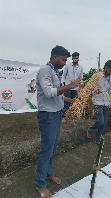 Deepak Kumar Behera On Linkedin Agriculture Sustainablefarming Mushroomcultivation