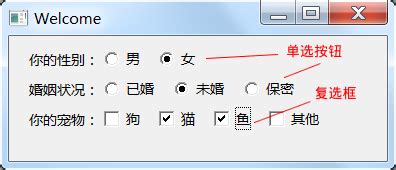 Windows程序设计Windows单选按钮复选框分组框控件 阿里云开发者社区
