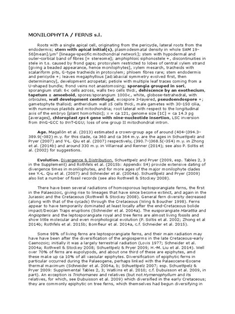 Monilophyta Pdf Fern Plants