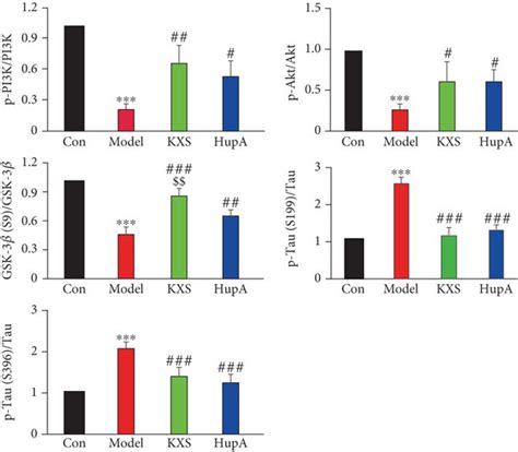 Kxs Inhibited Hyperphosphorylation Of Tau By Activating The