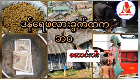 ဒန်ရေဖလားခွက်ထဲက ဘဝ ဆောင်းပါး Ayeyarwaddy Times