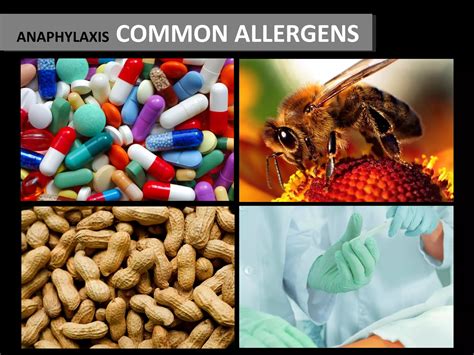 Immune System Disorders Anaphylaxis Angioedema Drug Allergies Ppt