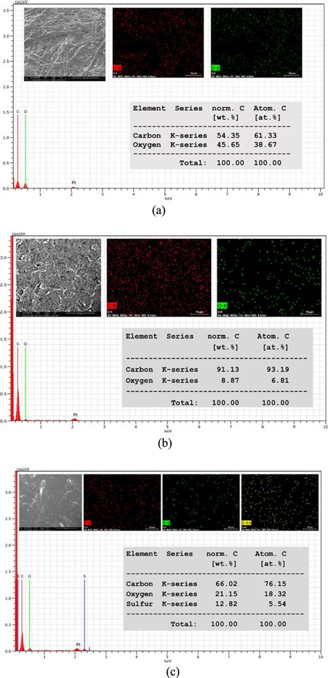 Sem Eds Mapping Analysis On Paper A Bare Spgne B And Download Scientific Diagram