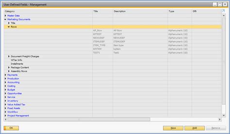 Sap B1 User Defined Fields · Starship
