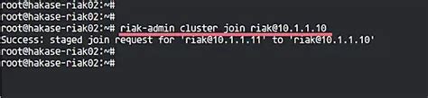 how to setup riak kv database cluster on ubuntu 18 04