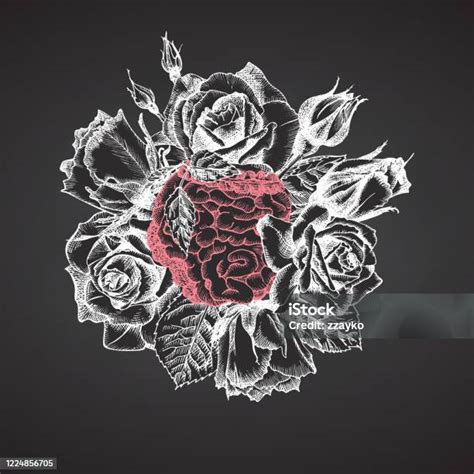 분판에 꽃다발 장미와 창자 인간의 내부 기관과 꽃 프레임의 사실적인 손으로 그린 아이콘 스케치 조각 스타일 의료 포스트 바이러스 성 재활 디자인 개념 문신 예술 꽃 식물에