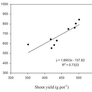 Linear Relationship Of Root Yield With Shoot Yield Download Scientific Diagram