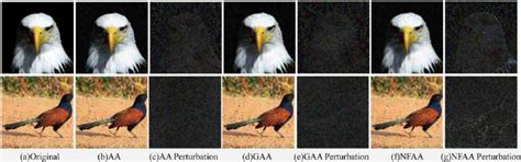 Comparison Of Adversarial Examples And Perturbations Yielded By The