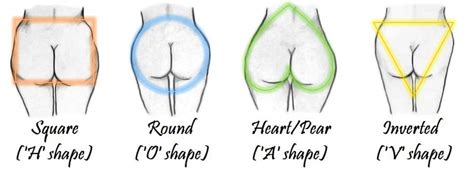 Types Of Female Ass