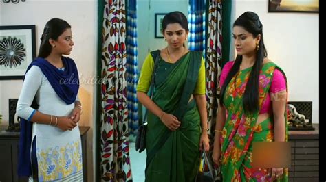 Sun Tv Serial Actress Saree