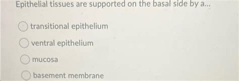 Solved Epithelial Tissues Are Supported On The Basal Side By