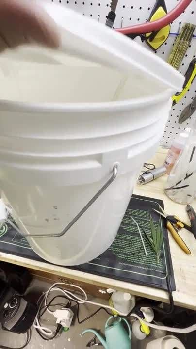 Diy Co2 Supplementation Grow Question By Woeswar Growdiaries