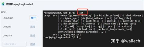 飞牛nas远程使用shell工具 知乎
