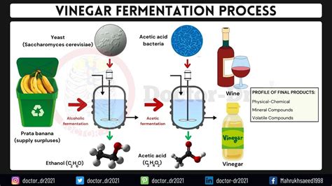 Vinegar Fermentation Process In 2025 Fermentation Acetic Acid How