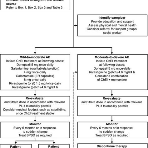 PDF A Practical Algorithm For Managing Alzheimer S Disease What When And Why