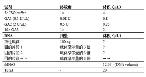 酶有科技 Gibson Assembly基因拼接试剂盒