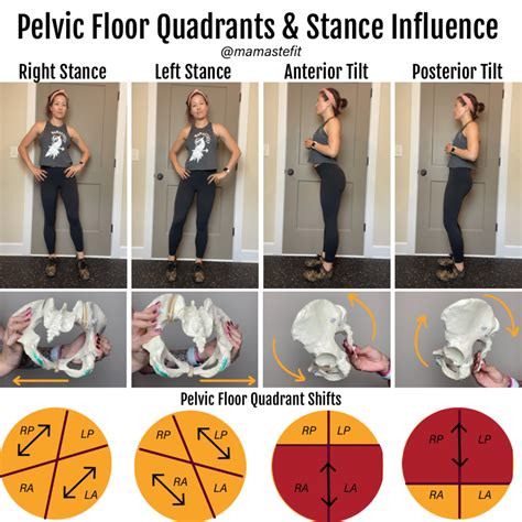 Avoid Labor Stalls 3 Ways Your Rib Cage Position Influences How Your Pelvis Opens For Birth