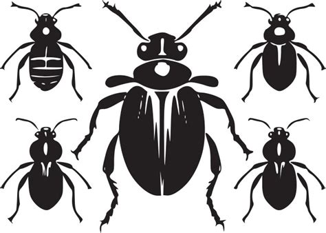 Bug Insect Royalty Free Vector Image Vectorstock